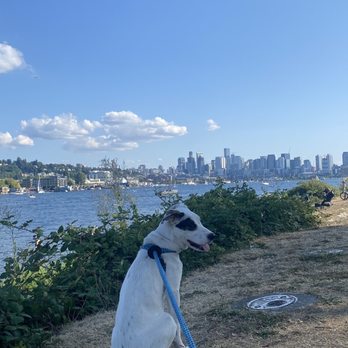 RESILIENT HEARTS ANIMAL SANCTUARY - Updated January 2026 - 3409 Stone ...