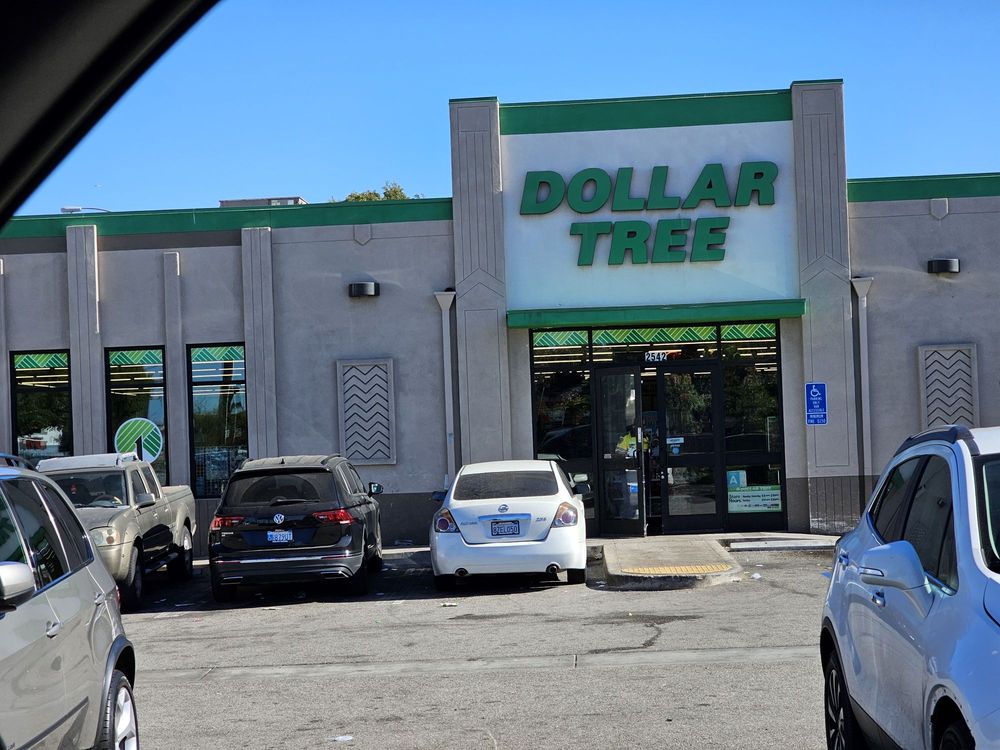 DOLLAR TREE - Updated August 2025 - 23 Photos & 31 Reviews - 2542 West ...