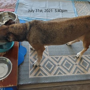 LADERA RANCH ANIMAL HOSPITAL - 29 Photos & 100 Reviews - Veterinarians ...