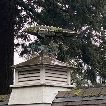 BONNEVILLE DAM FISH HATCHERY - Updated May 2024 - 447 Photos & 107 ...