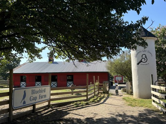 BLUEBIRD GAP FARM - Updated December 2025 - 222 Photos & 65 Reviews ...
