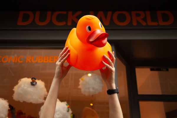 DUCK WORLD - Updated August 2025 - 61 Photos - 1622 Washington Ave ...