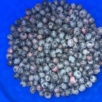 BYBEE FARMS - Updated October 2025 - 55 Photos & 28 Reviews - 42930 SE ...