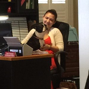 MAY MANAGEMENT SERVICES - Updated October 2025 - 21 Reviews - 240 Canal ...