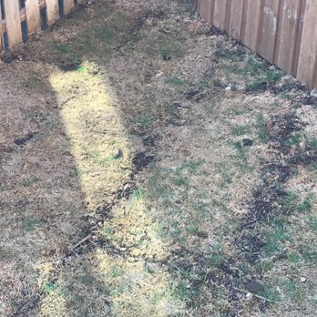 KING RANCH TURFGRASS - Updated December 2025 - 51 Photos - 4020 S ...