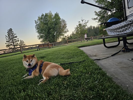 JACKSON RANCHERIA RV PARK - 85 Photos & 79 Reviews - 12222 New York ...