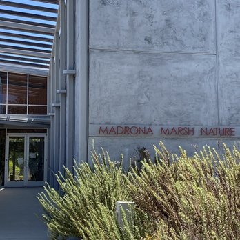 MADRONA MARSH PRESERVE AND NATURE CENTER - Updated November 2024 - 330 ...