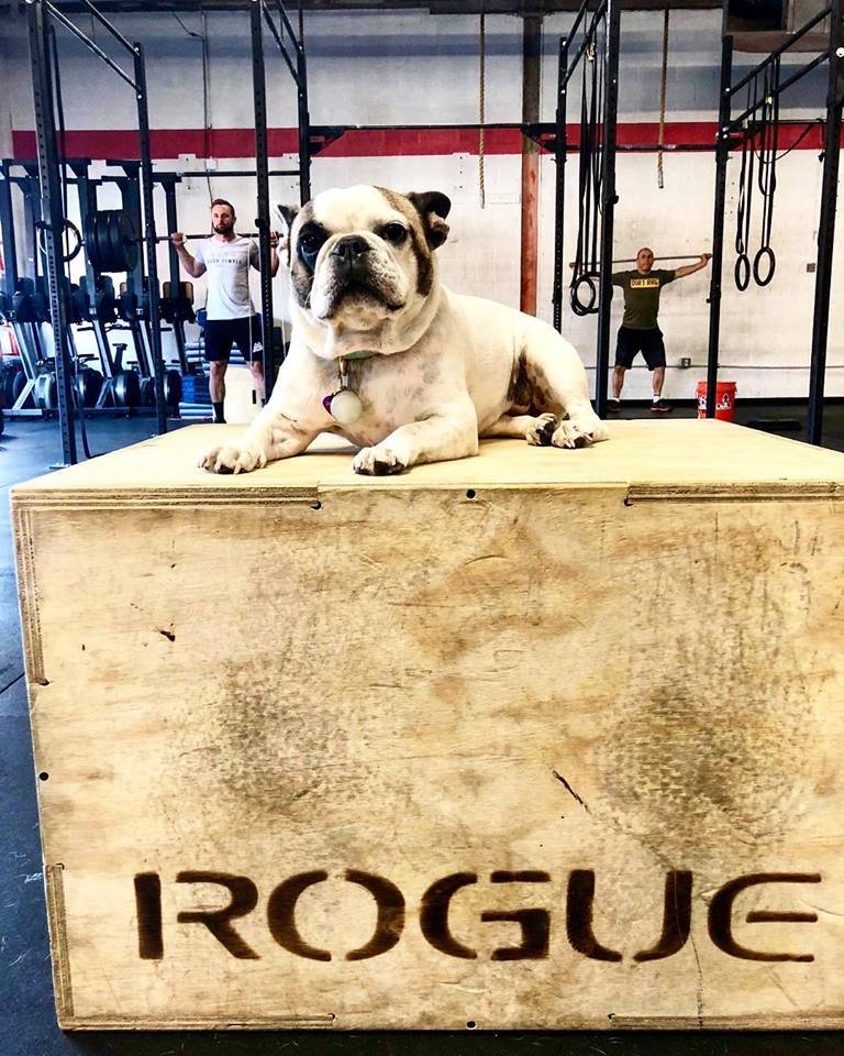 TOUGH TEMPLE CROSSFIT - Updated July 2025 - 12143 Nebel St, North ...