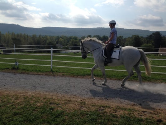 KING’S VIEW ACRES - Updated December 2025 - 288 Stuart Rd, Carlisle ...