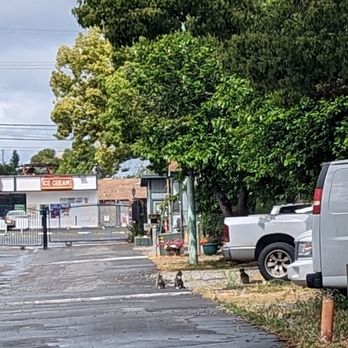 STILLMAN R V PARK - Updated December 2025 - 37 Photos & 14 Reviews ...