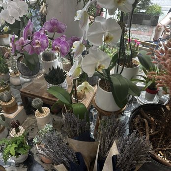 REMI43 FLOWER & COFFEE - Updated July 2024 - 351 Photos & 145 Reviews ...