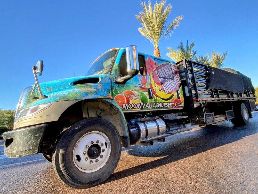 MOON VALLEY NURSERIES - QUEEN CREEK / SAN TAN VALLEY - Updated November 2024 - 46 Photos & 32 ...