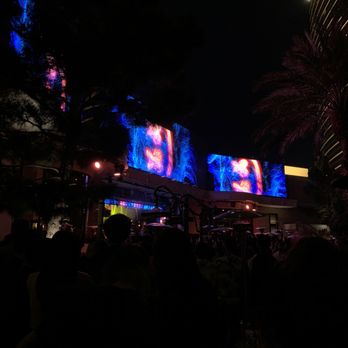 XS NIGHTCLUB - Updated April 2025 - 1914 Photos & 3524 Reviews - 3131 ...