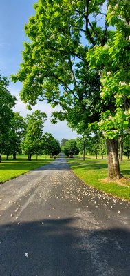 BERRY COLLEGE - Updated December 2025 - 72 Photos & 11 Reviews - 2277 ...