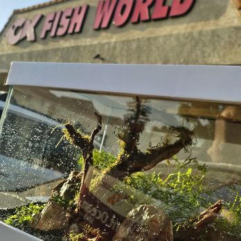 CK FISH WORLD - Updated September 2025 - 445 Photos & 476 Reviews - 541 North Azusa Ave, West ...