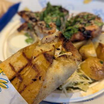 DIZZY BIRD - Updated July 2025 - 257 Photos & 293 Reviews - 920 ...