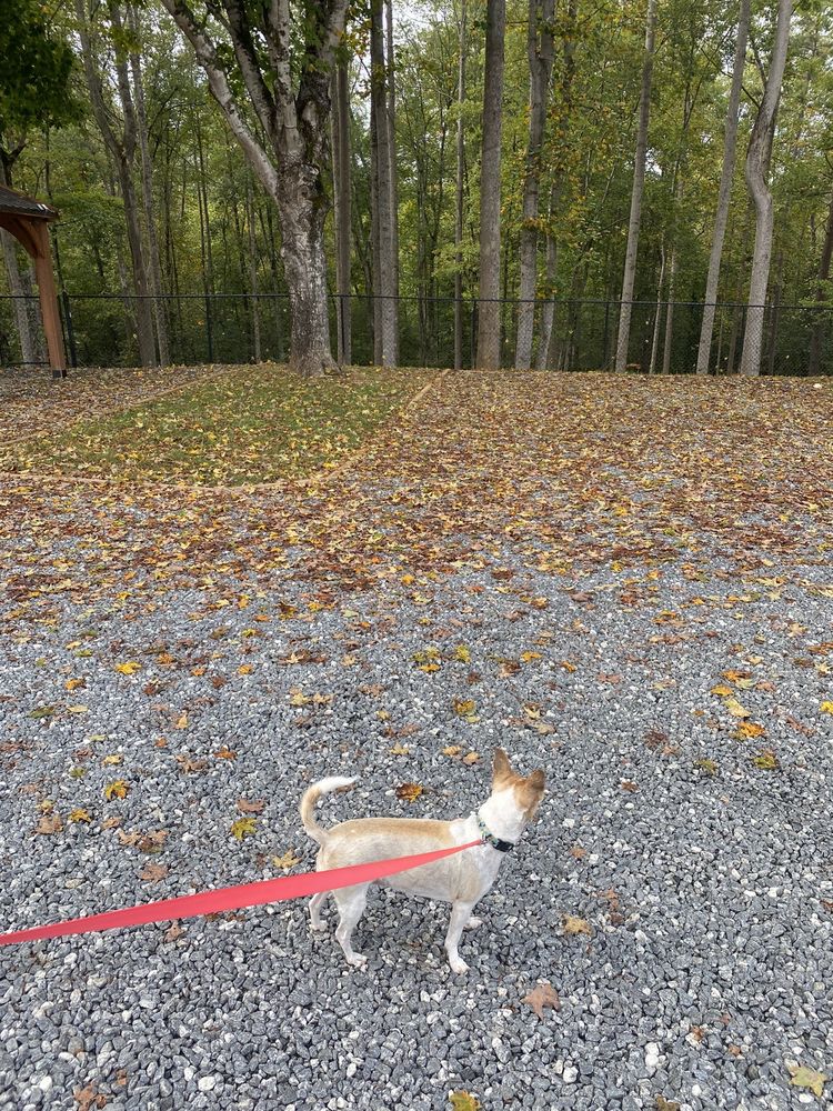 MAPLE RIDGE RV PARK - Updated October 2025 - 74 Photos - 112 Clark Rd ...