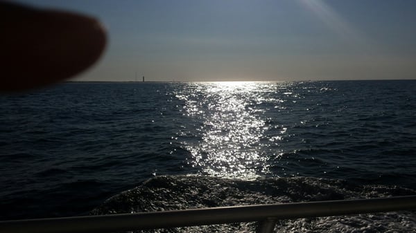 CAPTREE PRIDE - Updated September 2025 - 21 Photos & 31 Reviews - 3500 ...