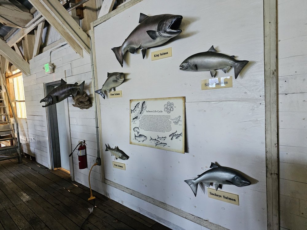 GEORGE INLET CANNERY - Updated December 2025 - 23 Photos - 13194 S ...