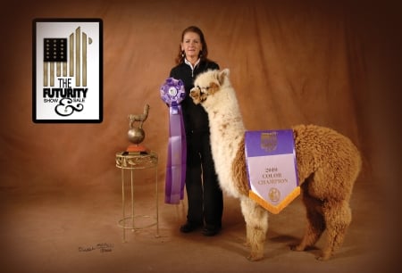 7 SPRINGS ALPACA FARM - Updated December 2025 - 201 Alpaca Ln, Lebanon ...