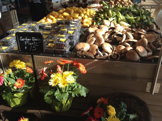 METRO MARKET - Updated July 2025 - 32 Photos & 70 Reviews - 6010 ...