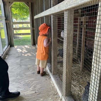 HARBES FAMILY FARM & VINEYARD - Updated May 2025 - 822 Photos & 297 ...