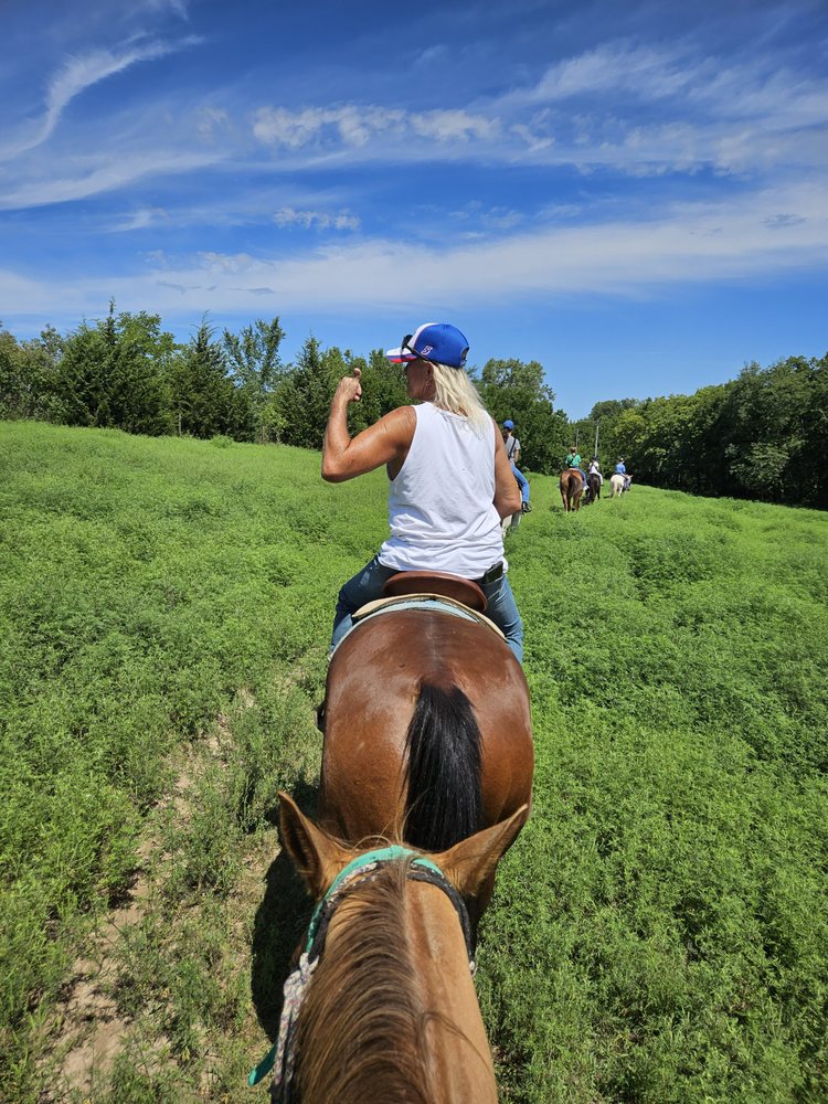 WILD ROSE EQUINE CENTER - 44 Photos & 18 Reviews - 17105 Old Pike Rd ...
