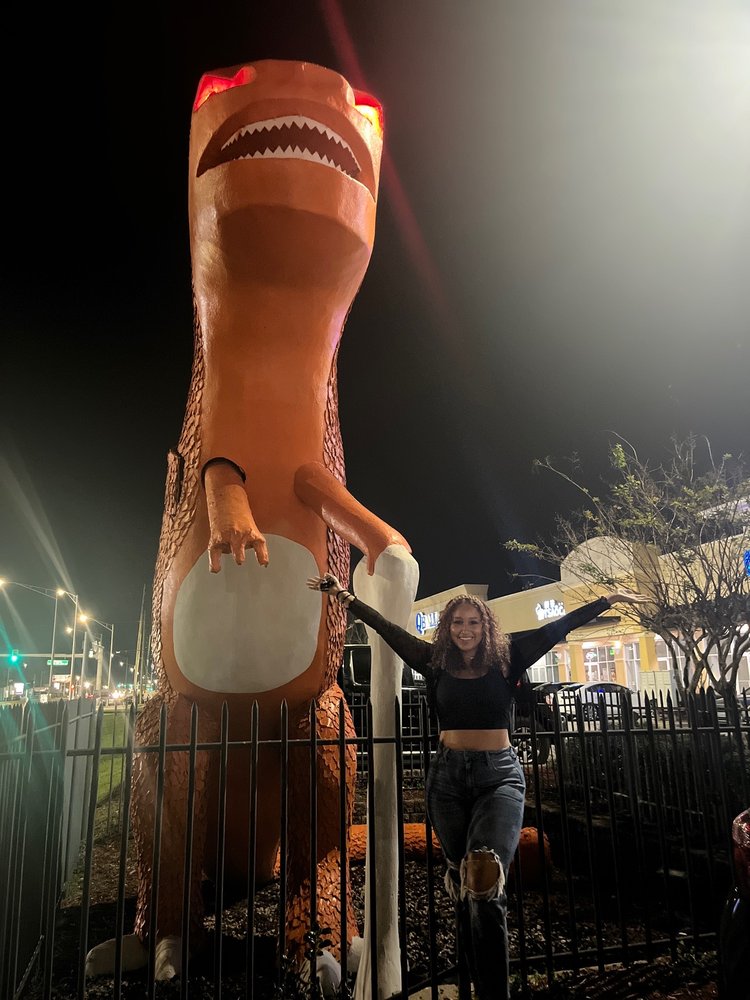 REX, THE BEACH BLVD DINOSAUR - Updated August 2025 - 13 Photos & 32 ...