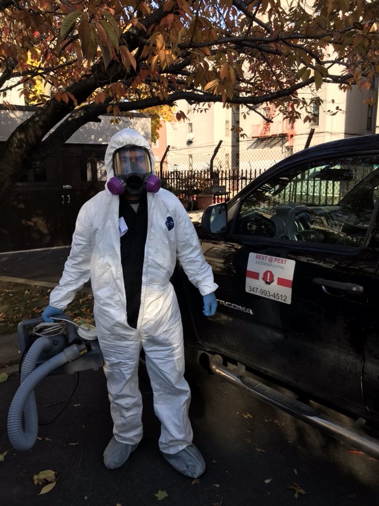 BEST AT PEST EXTERMINATING - Updated December 2025 - 61 Photos & 15 ...