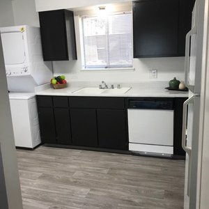 SAGA RENO - Updated January 2026 - 41 Photos & 79 Reviews - 2780 ...