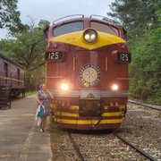 TEXAS STATE RAILROAD PALESTINE DEPOT - 200 Photos & 82 Reviews - 789 ...