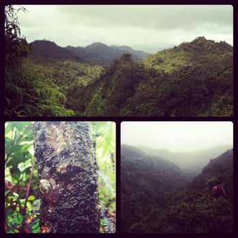 POAMOHO RIDGE TRAIL - Updated December 2025 - 98 Photos & 12 Reviews ...