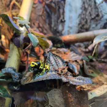 THE BIO DUDE - Updated January 2026 - 75 Photos & 45 Reviews - 15116 ...