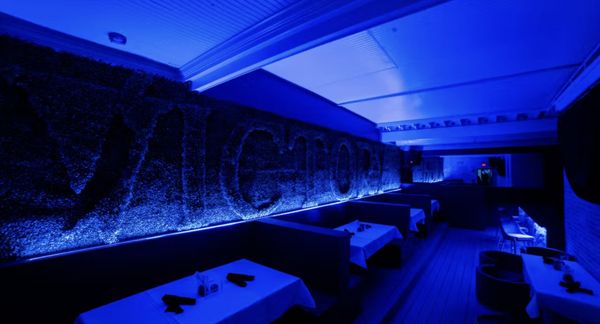 YOLO RESTAURANTS & LOUNGE - Updated July 2025 - 14 Photos - 2005 14th ...