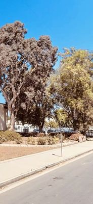 LOUIS ARMSTRONG MIDDLE SCHOOL - Updated January 2026 - 18 Photos & 47 ...