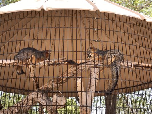 SPRING RIVER PARK AND ZOO - Updated September 2025 - 72 Photos & 28 ...