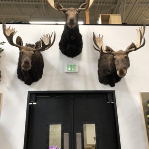 SCHEELS - Updated May 2025 - 116 Photos & 33 Reviews - 700 S Wayfinder ...