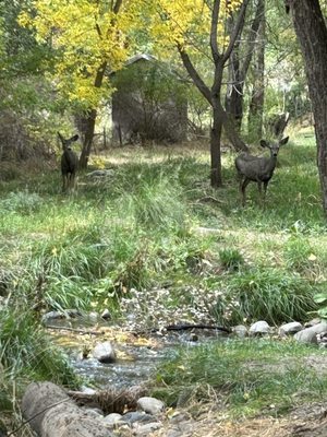 RIVERVIEW RV PARK - Updated December 2025 - 27 Photos - 640 Sudderth Dr ...