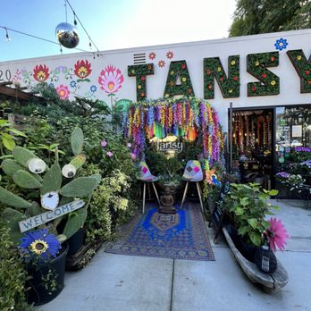 TANSY - Updated January 2025 - 858 Photos & 201 Reviews - 2120 W ...
