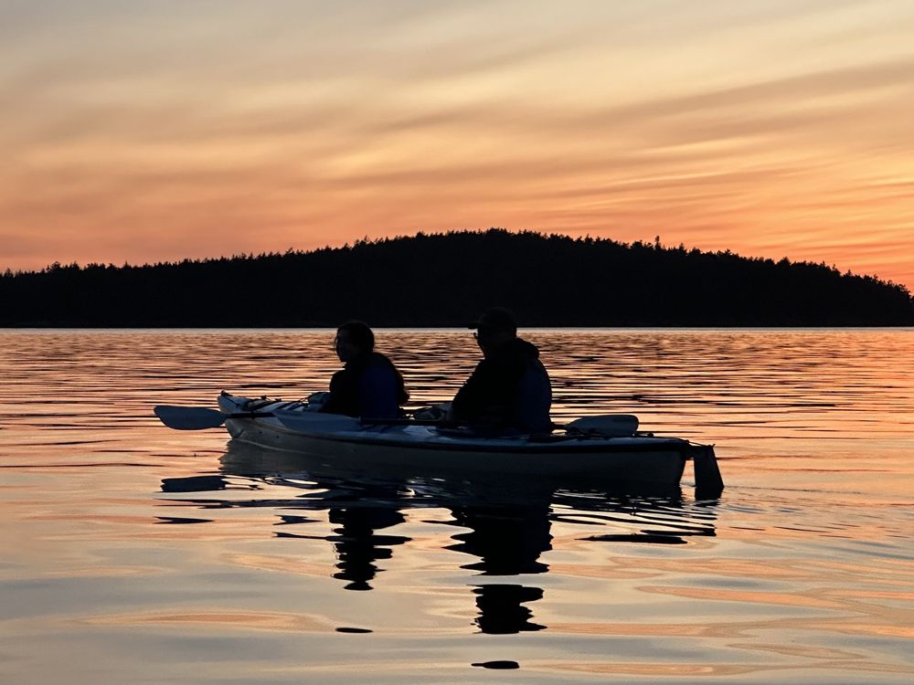 SHEARWATER KAYAK TOURS - Updated December 2025 - 17 Photos & 49 Reviews ...