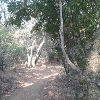 EDGEWOOD PARK & NATURAL PRESERVE - Updated January 2026 - 656 Photos ...