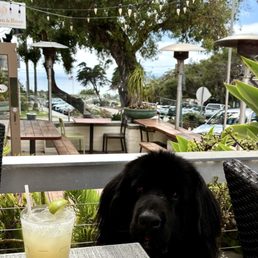 SBICCA DEL MAR - Updated May 2026 - 730 Photos & 822 Reviews - 215 15th ...