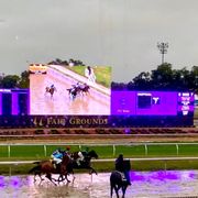 FAIR GROUNDS RACE COURSE & SLOTS - 289 Photos & 78 Reviews - 1751 ...