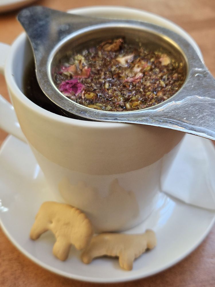 OPEN CITY AT THE NATIONAL CATHEDRAL - Updated January 2026 - 268 Photos ...