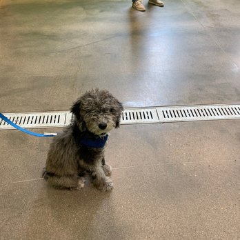 CITY BARK THORNTON - Updated August 2024 - 82 Photos & 24 Reviews - 111 ...