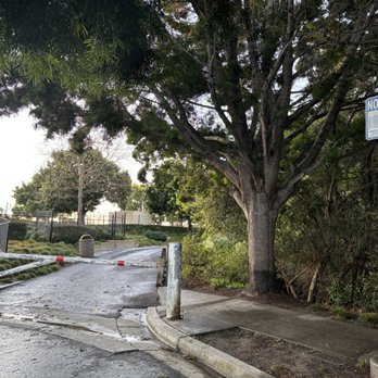 CASTAWAYS PARK - Updated September 2025 - 160 Photos & 38 Reviews - 700 ...