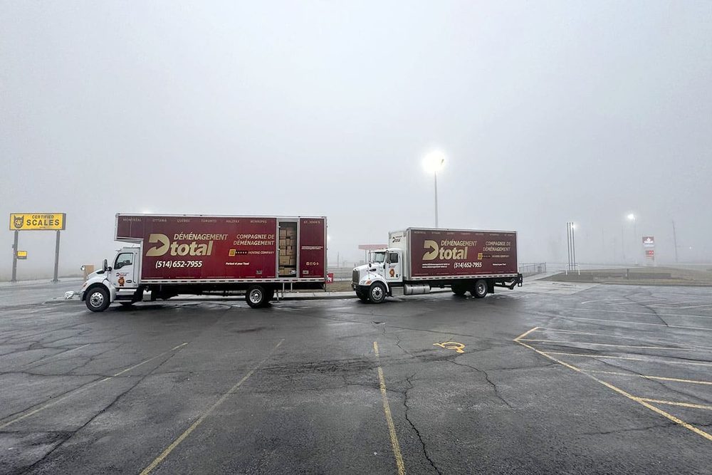 SHARK - Updated February 2026 - Request a Quote - Mississauga, Ontario - Movers - Phone Number ...