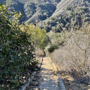 MURPHY RANCH TRAIL - 1691 Photos & 318 Reviews - Los Angeles ...