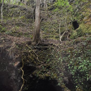 WAIHOU SPRING TRAIL - Updated December 2025 - 70 Photos & 22 Reviews ...