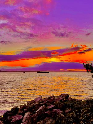 HAMILTON VIEWPOINT PARK - Updated June 2025 - 155 Photos & 39 Reviews ...